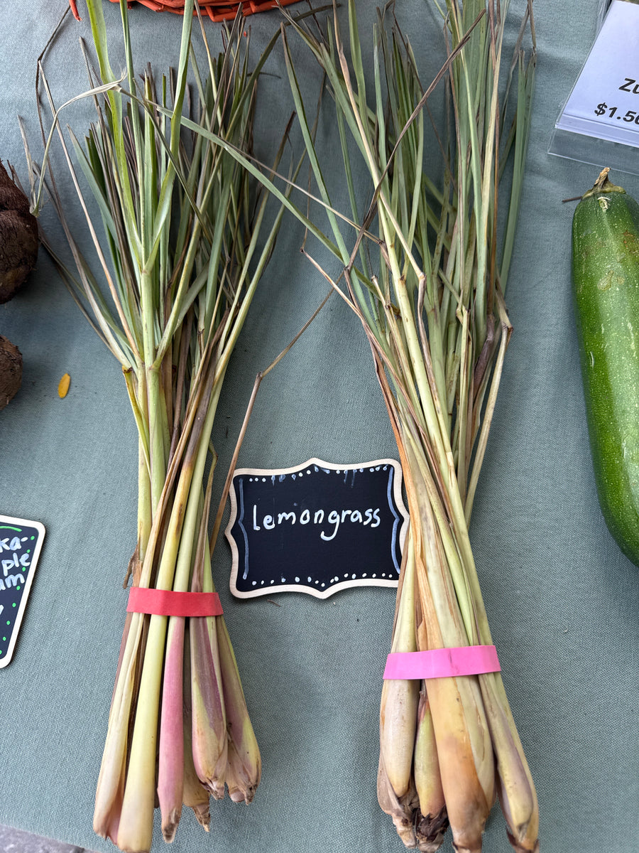 Lemongrass – Epic Adventures FL